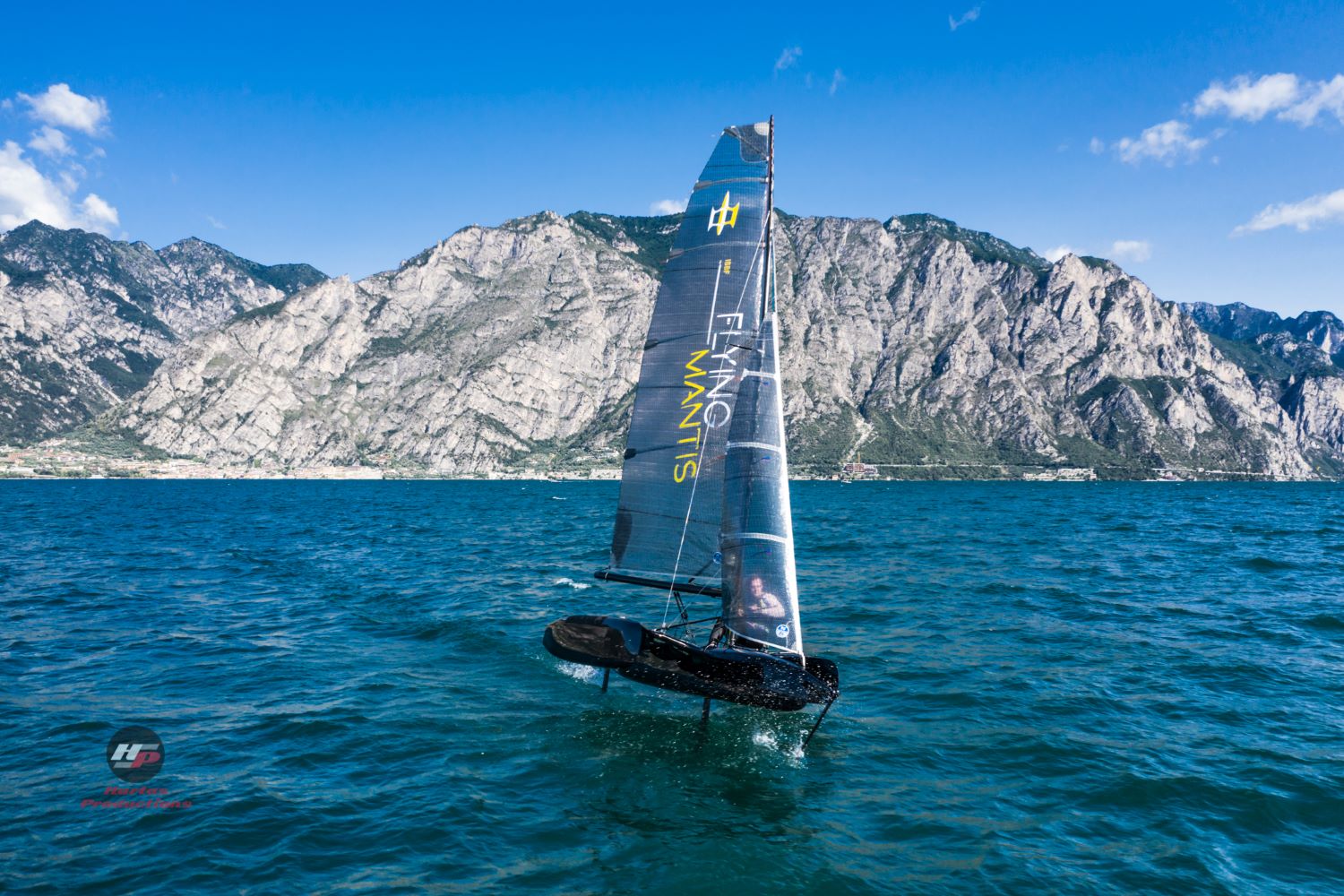 Flying Mantis | The Gallery