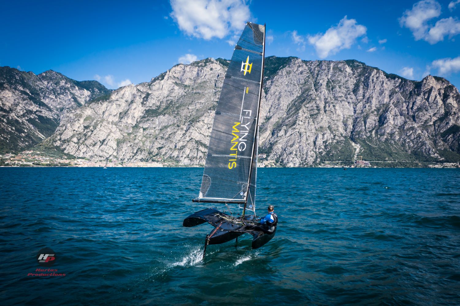 Flying Mantis | The Gallery