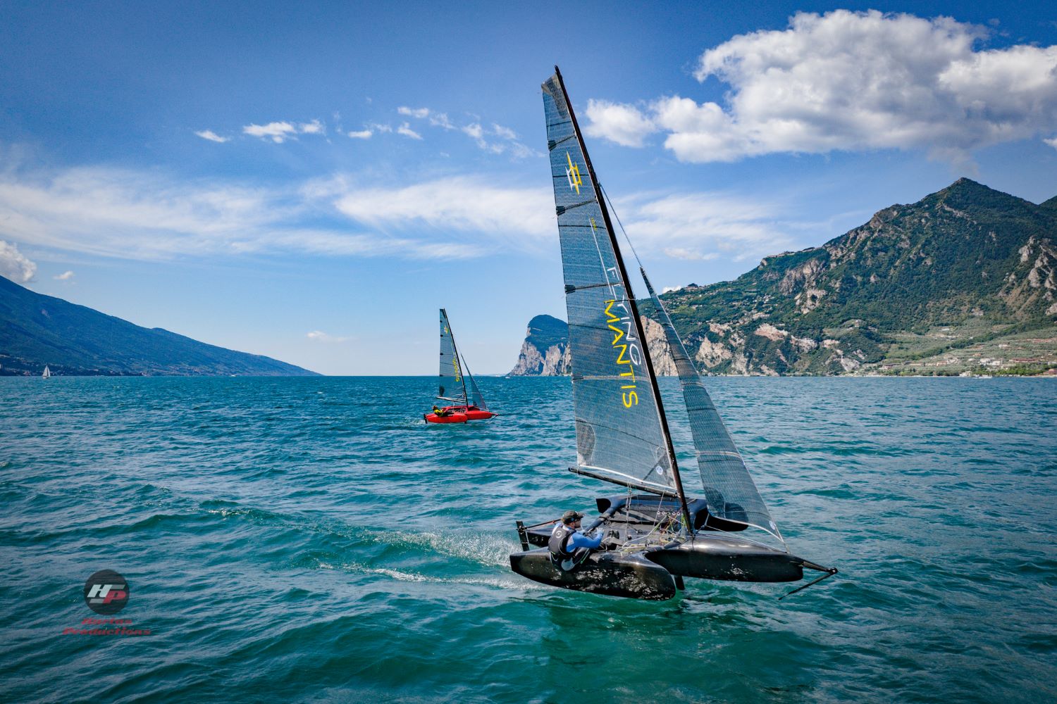 Flying Mantis | The Gallery